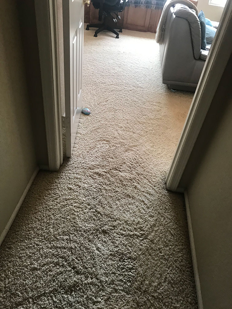 Our Work | Momentum Carpet Care
