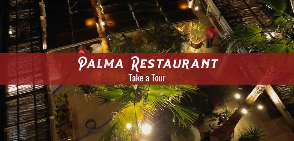 Tour of Palma Restaurant and How Cleanliness is Good for Business